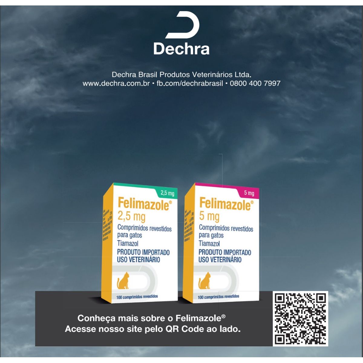 Medicamento Dechra Felimazole para Gatos 5mg - Contém 100 comprimidos ...