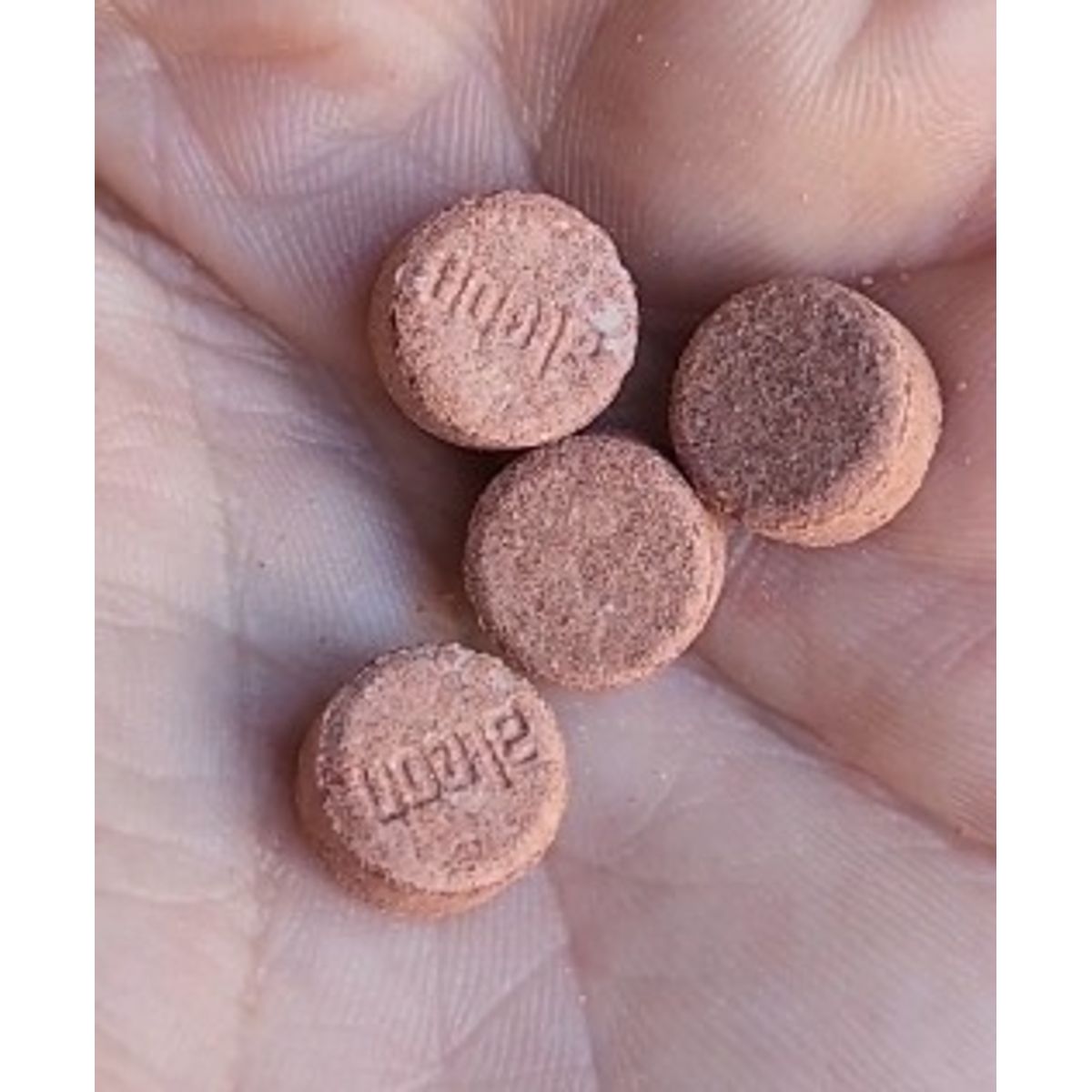 Ração Alcon Basic Tabs para Peixes Ornamentais 30g - Casa do Colono